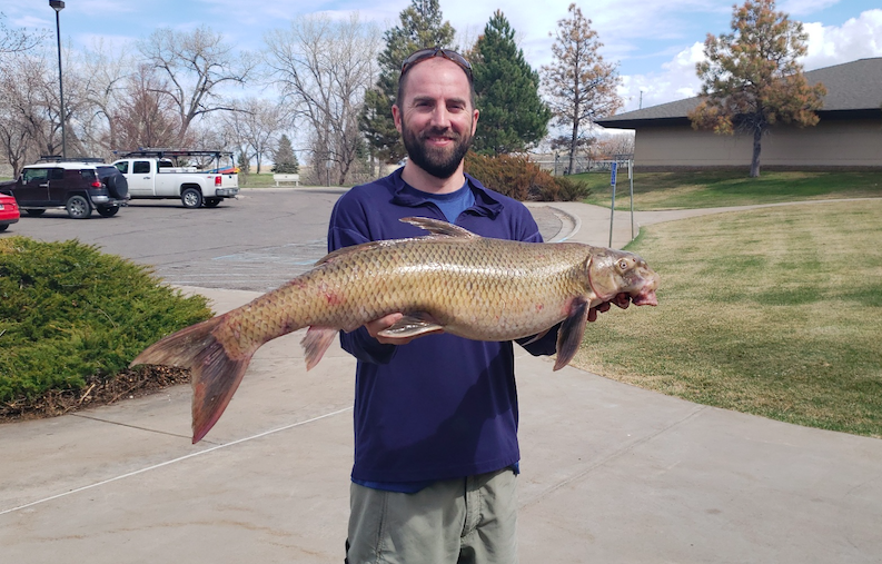 Great Falls man sets new state record for blue sucker
